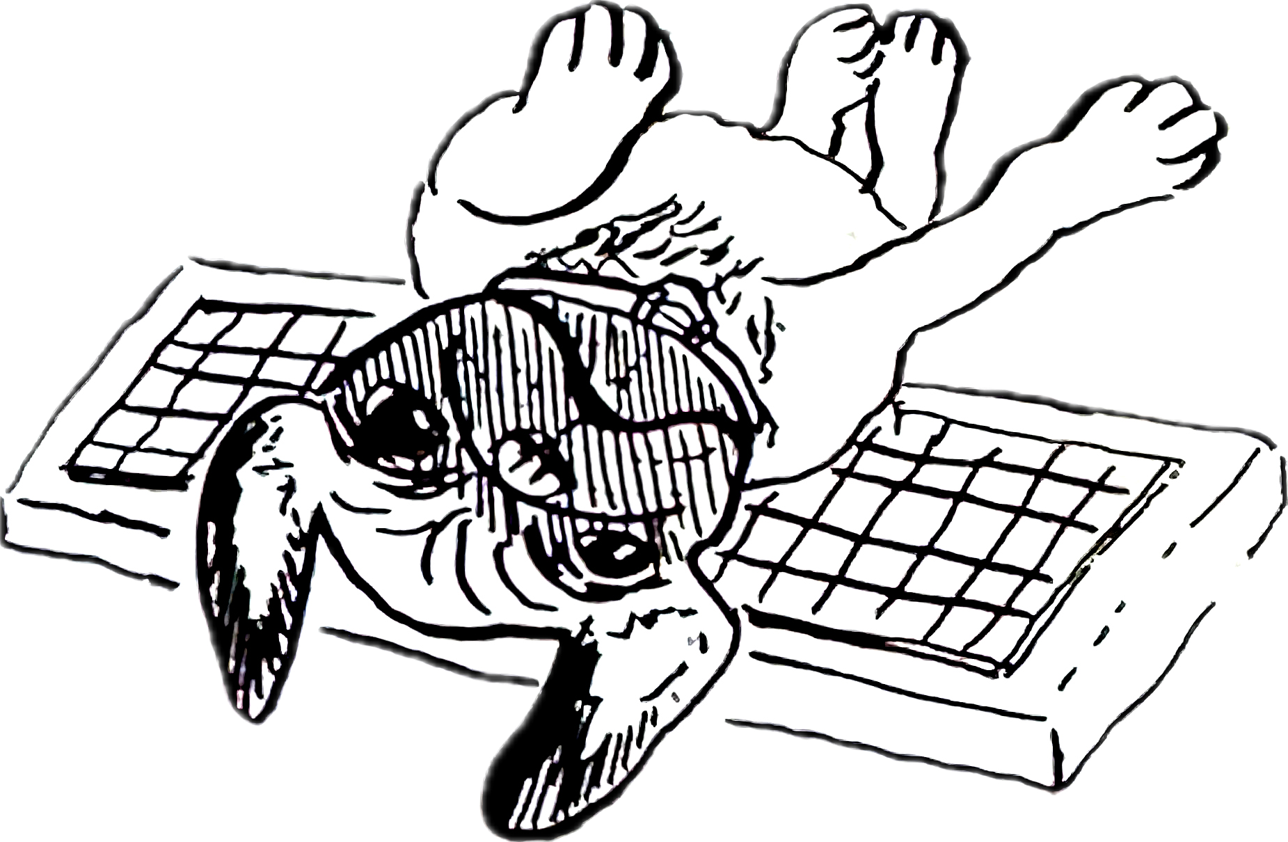 World Equestrian Center